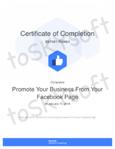 รับปลดล็อค Facebook - toSKYsoft แก้ไขเพจถูกปิดกั้นการมองเห็น